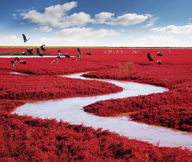10 unusual natural wonders - newsoholic