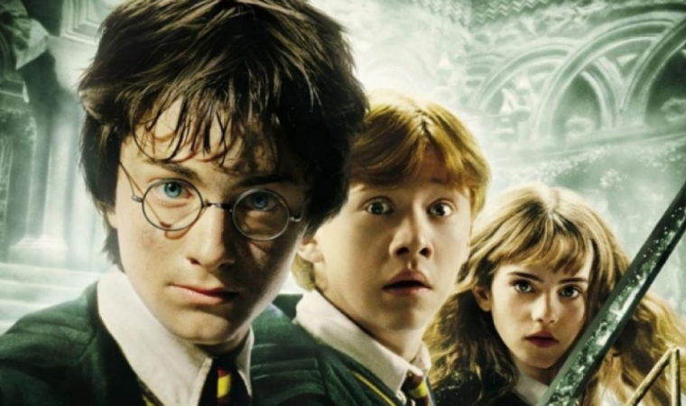 Harry Potter Characters: In the Books Vs. In the Movies - newsoholic