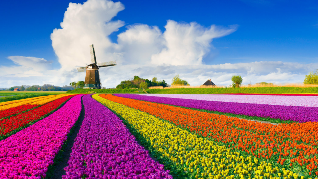 10 Best Places On Earth To Experience The Magic Of Spring - newsoholic