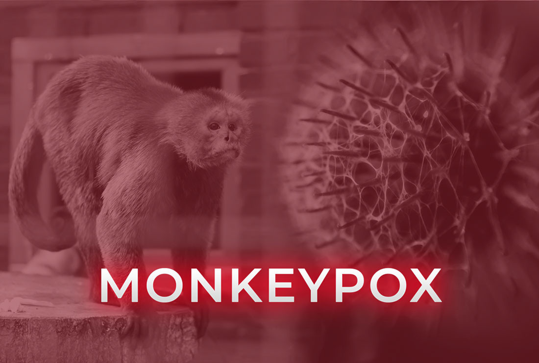 What to Know About monkeypox - newsoholic